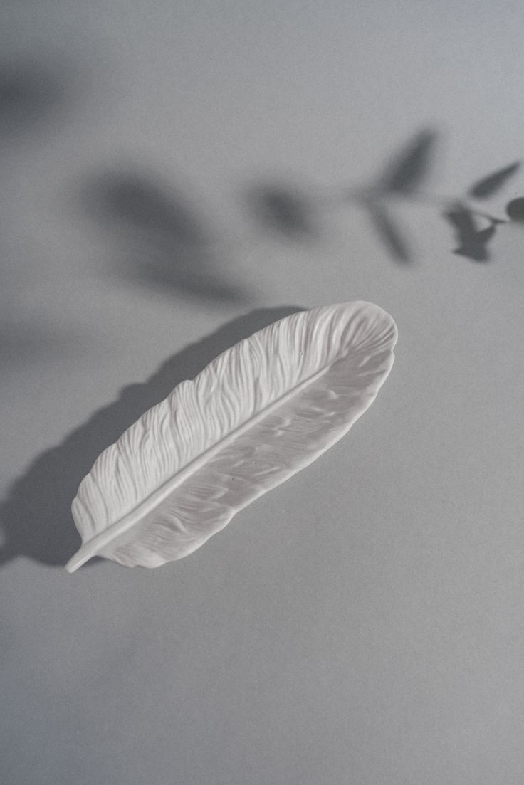 Feather Tray - Artistry Land